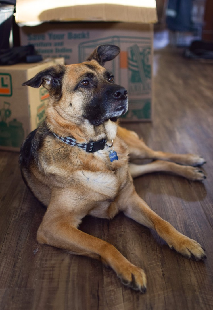 5 Make-Ahead Food Prep Ideas for Moving Day - Project Meal Plan